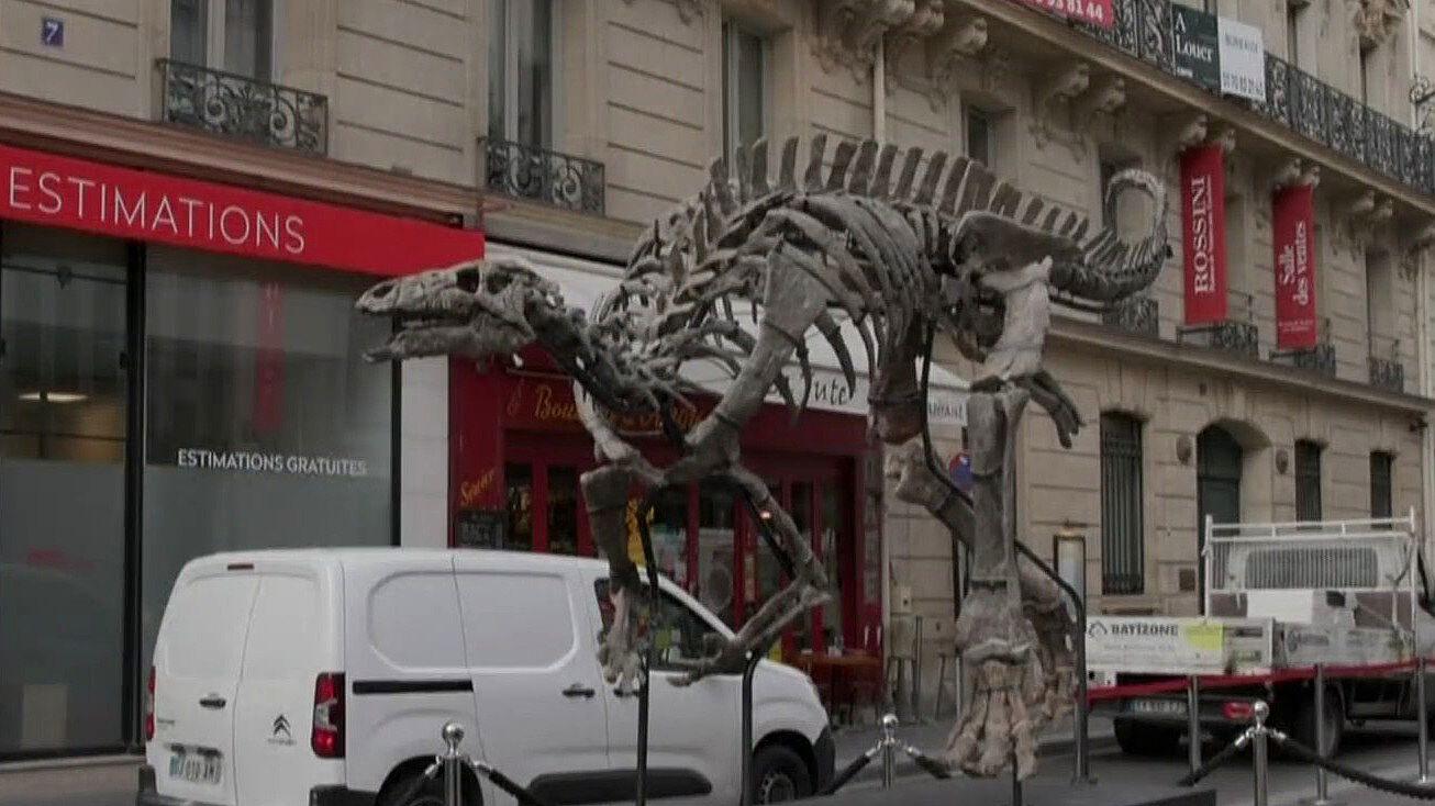 Dinosaurio Barry Será Subastado en París | N+