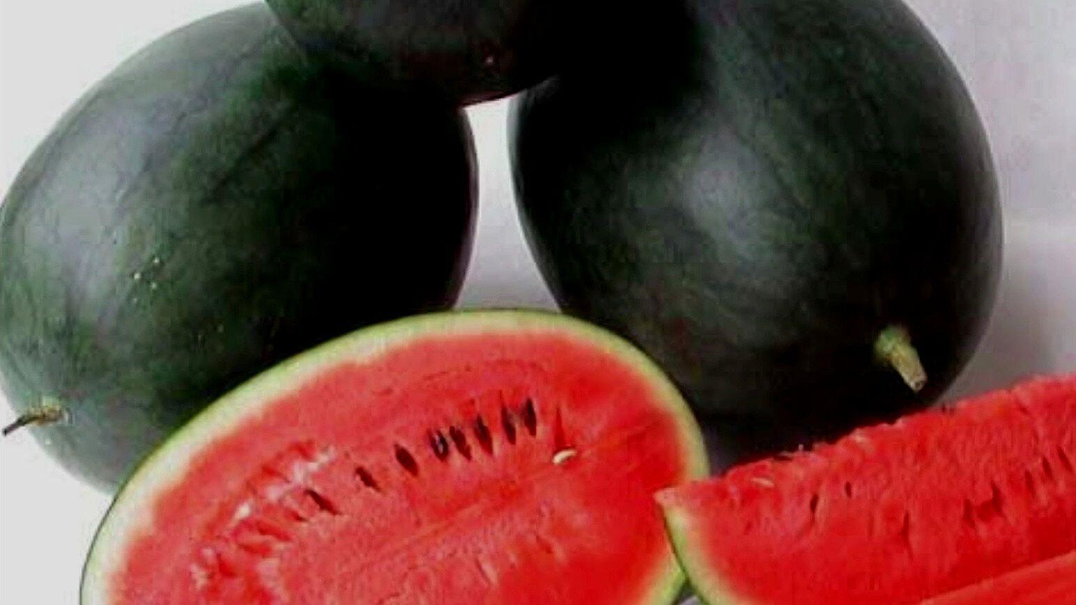 Sandía Negra Fruta Más Cara del Mundo | N+