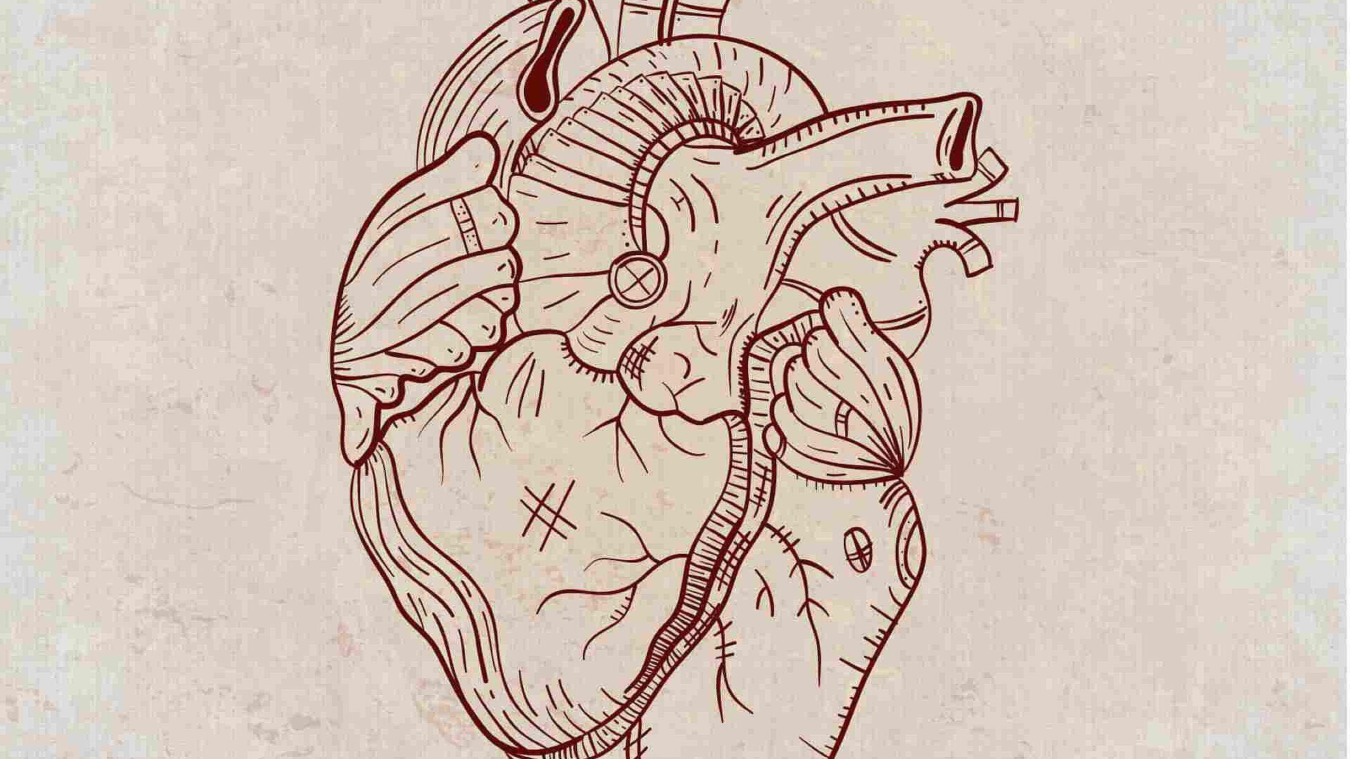 Cuida Tu Corazón en 5 Pasos: Consejos del Cardiólogo en el Día Mundial ...