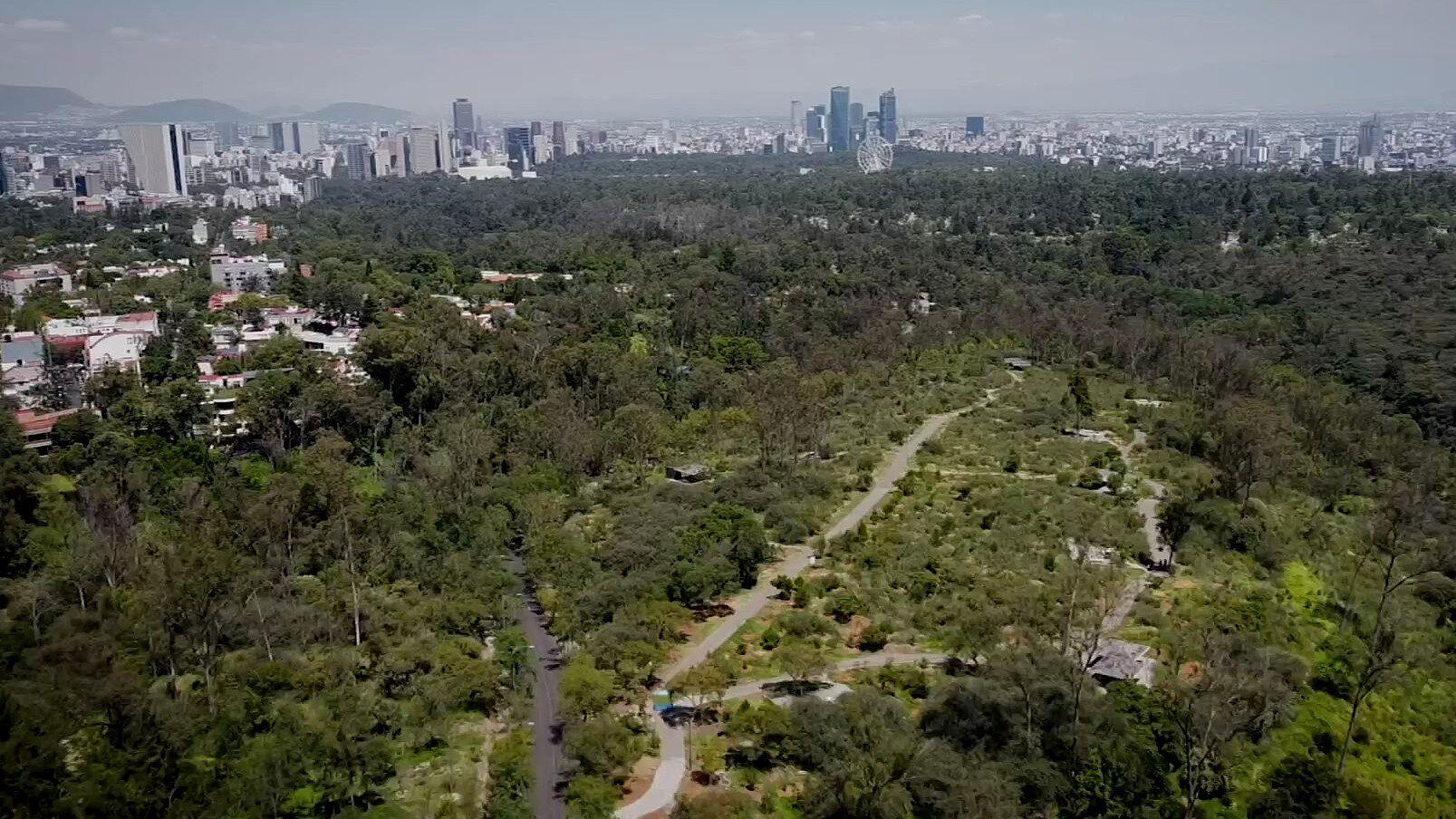 Obras de Rehabilitación del Bosque de Chapultepec a un 85 por Ciento | N+