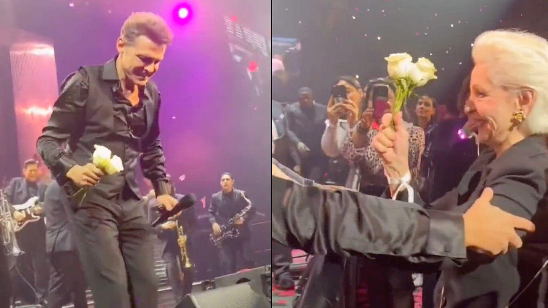 Luis Miguel Regala Besos y Rosas a Carolina Herrera | N+ | N+