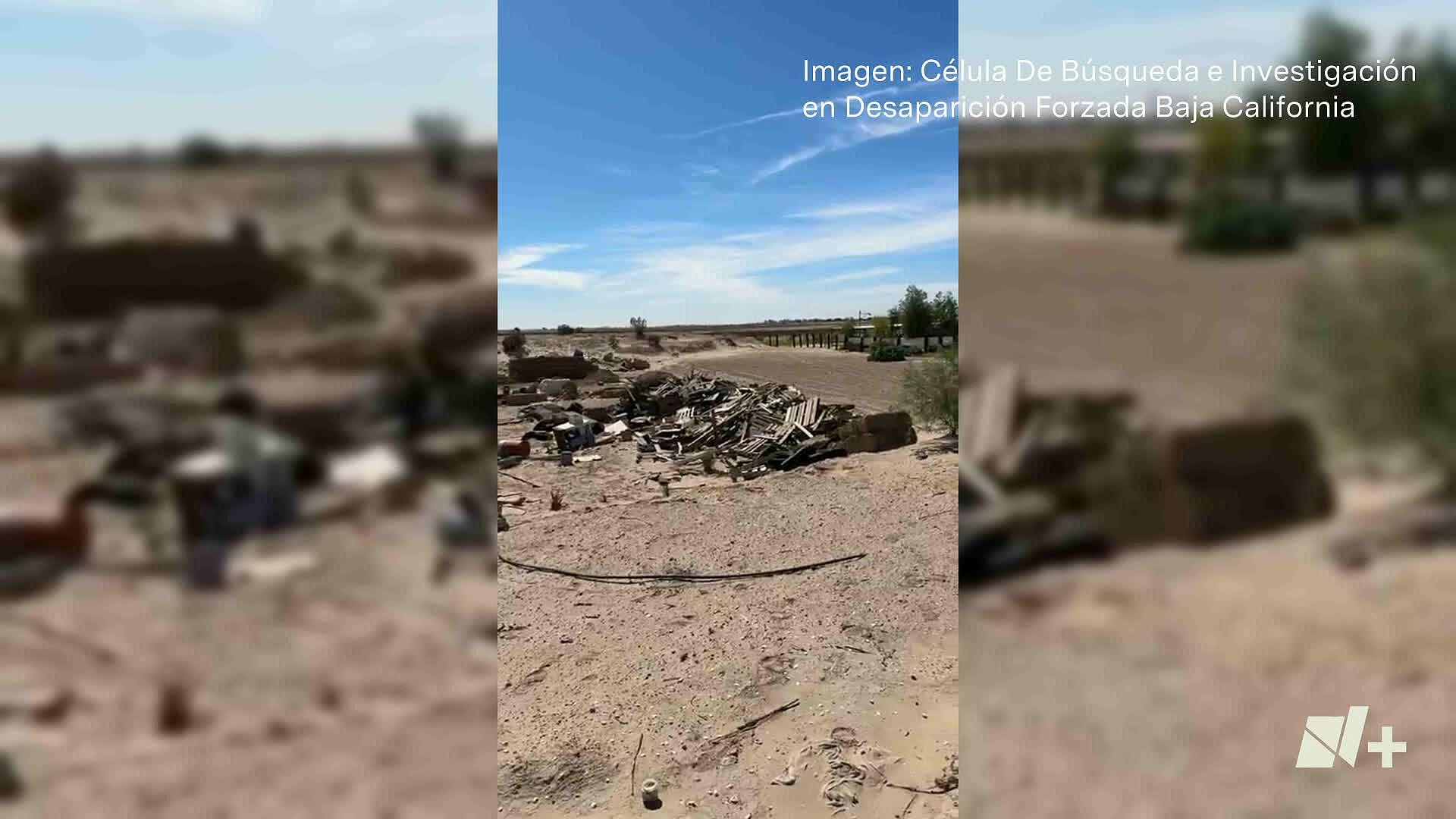 Localizan Más de 35 Restos Óseos en Posible Nueva Fosa Clandestina en Valle de Mexicali | N+