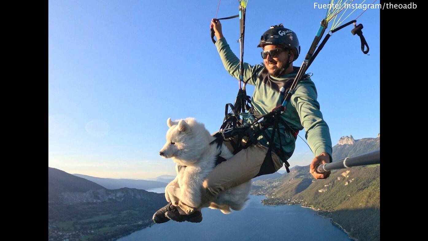 Tiktoker Se Lanza de Paracaídas con su Perro; Es Criticado en Redes | N+