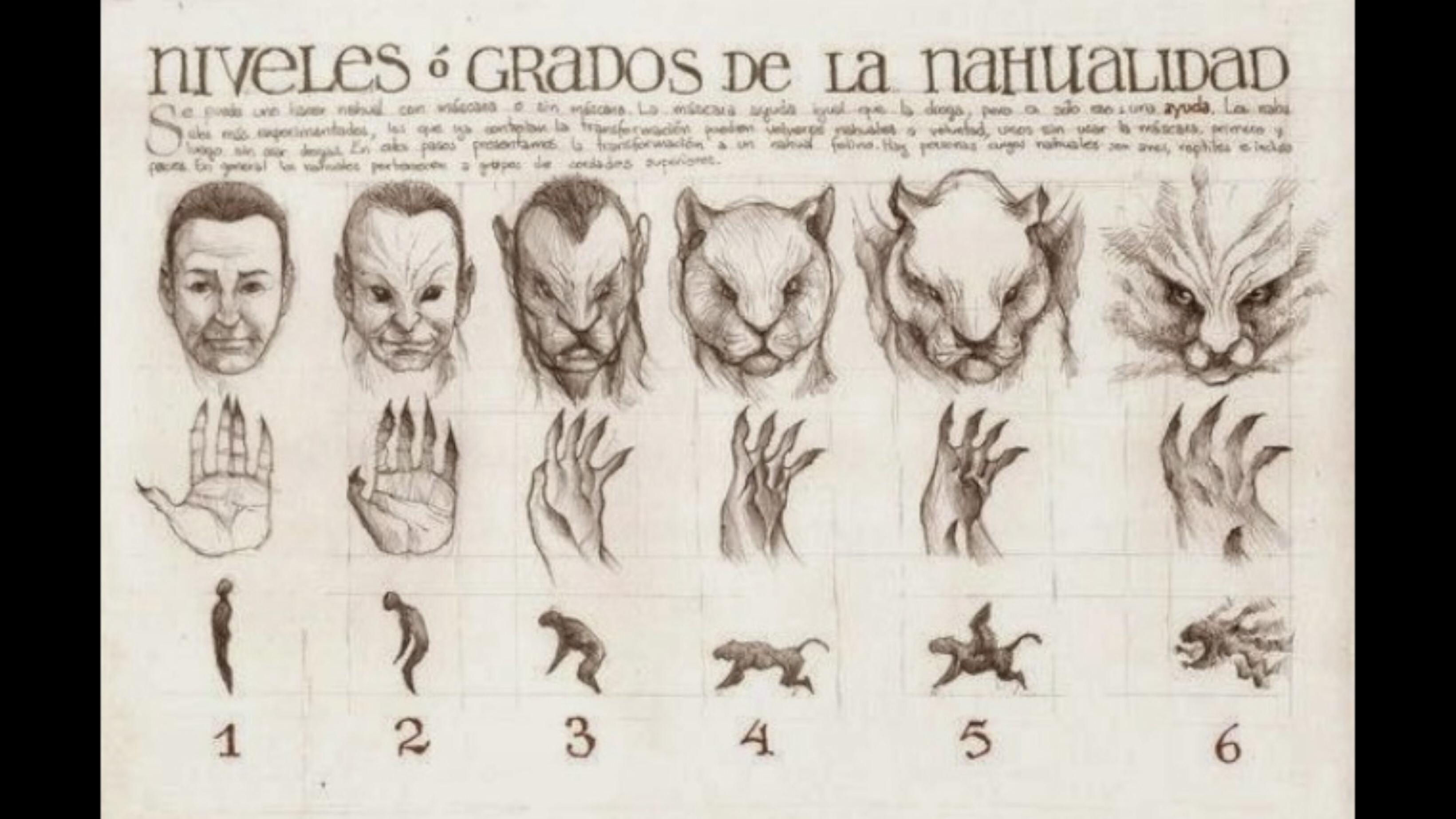 ¿Conoces a Los Nahuales? Aquí Te Presentamos Su Historia | N+