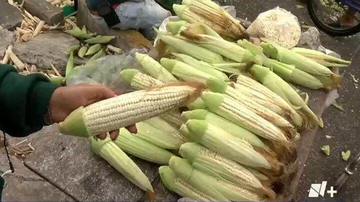 Comienza la Venta de Elotes a $1 Peso en Veracruz | N+