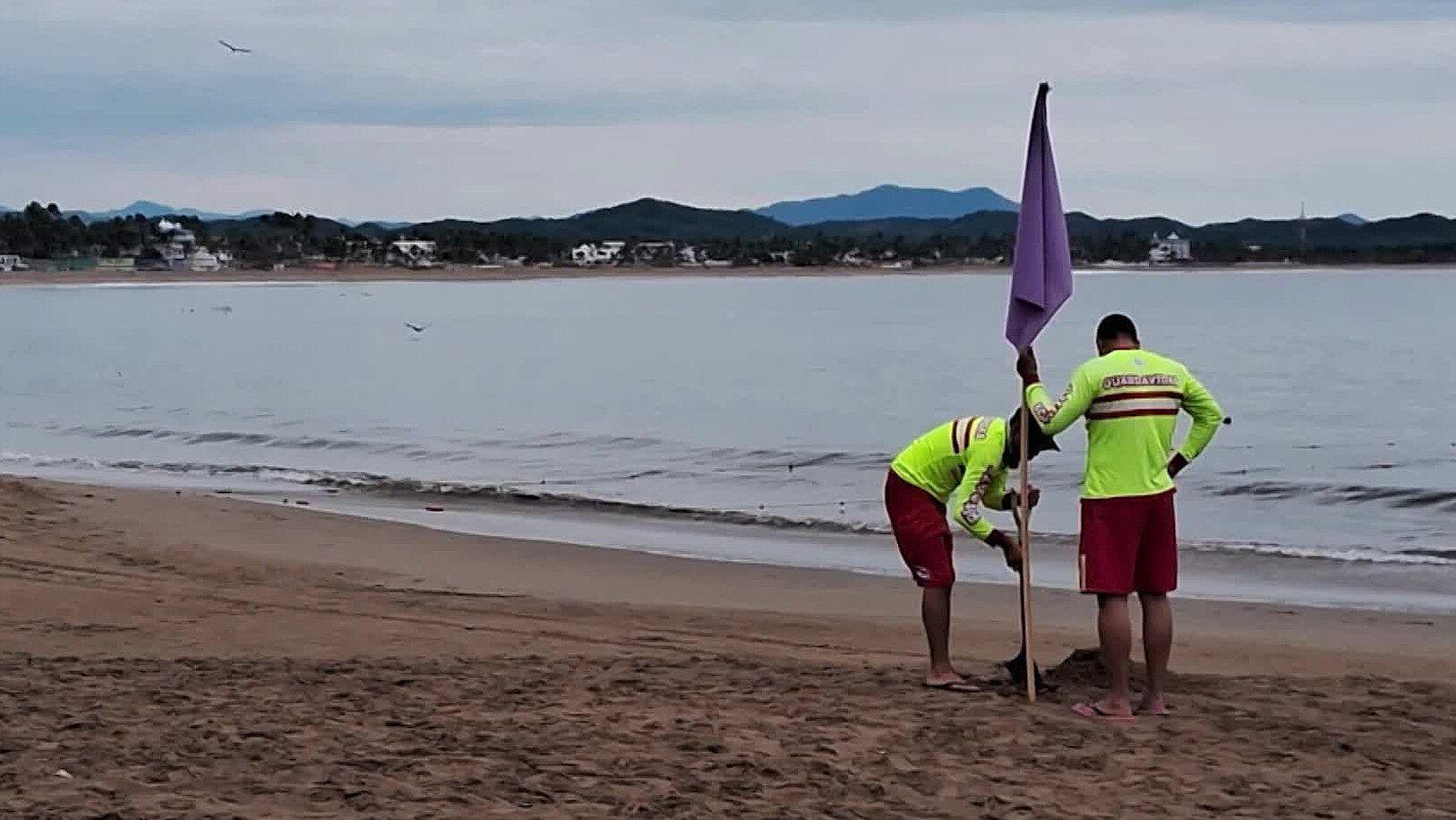 Bandera Morada en Playas de la Costa Sur de Jalisco Tras Ataque de ...