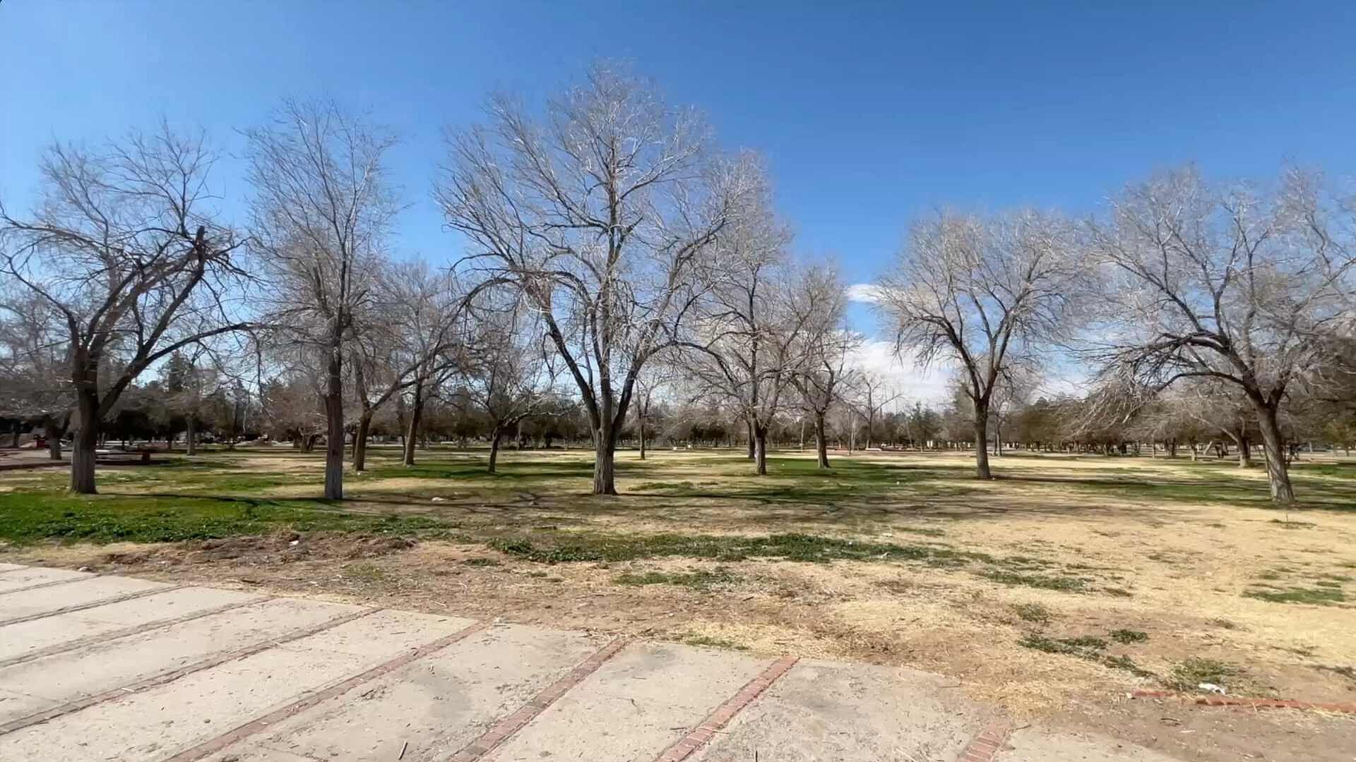 Buscan que El Chamizal de Cd. Juárez Sea Nombrado Parque Nacional | N+