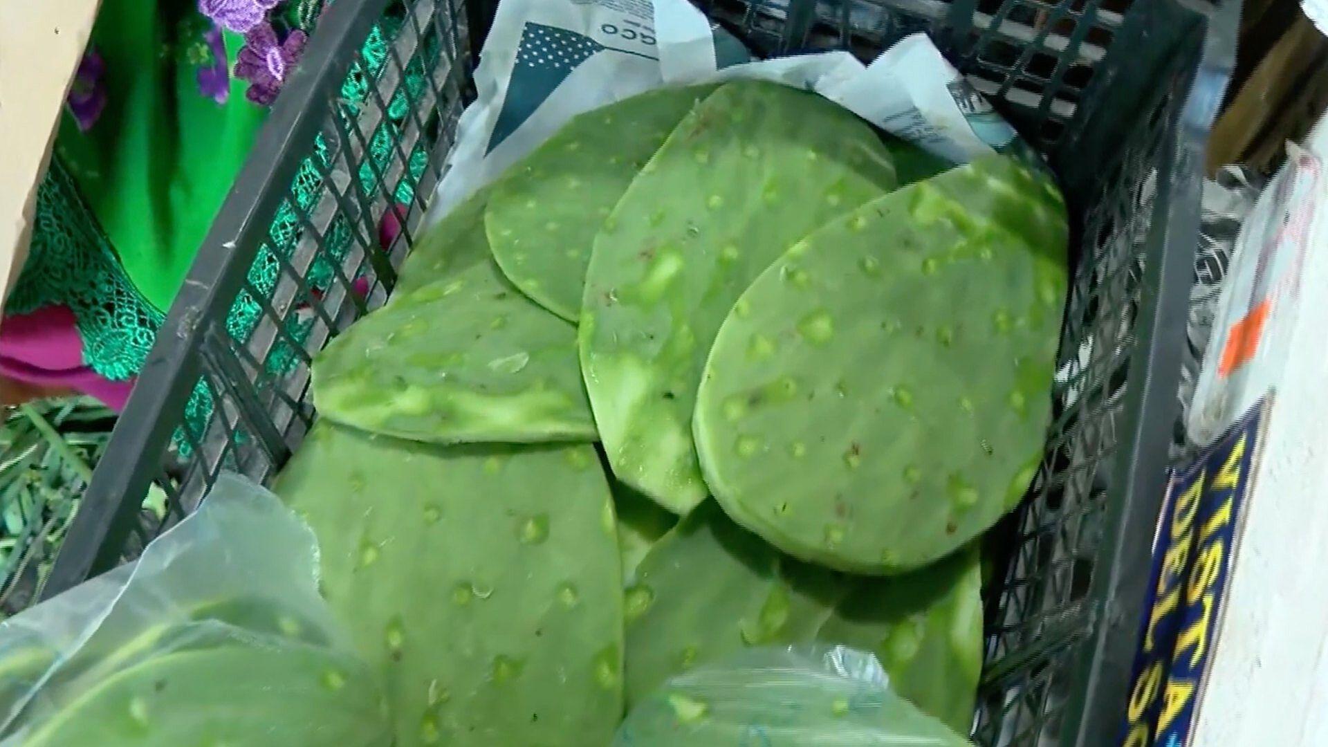 Beneficios de Comer Nopales y Crucetas | N+