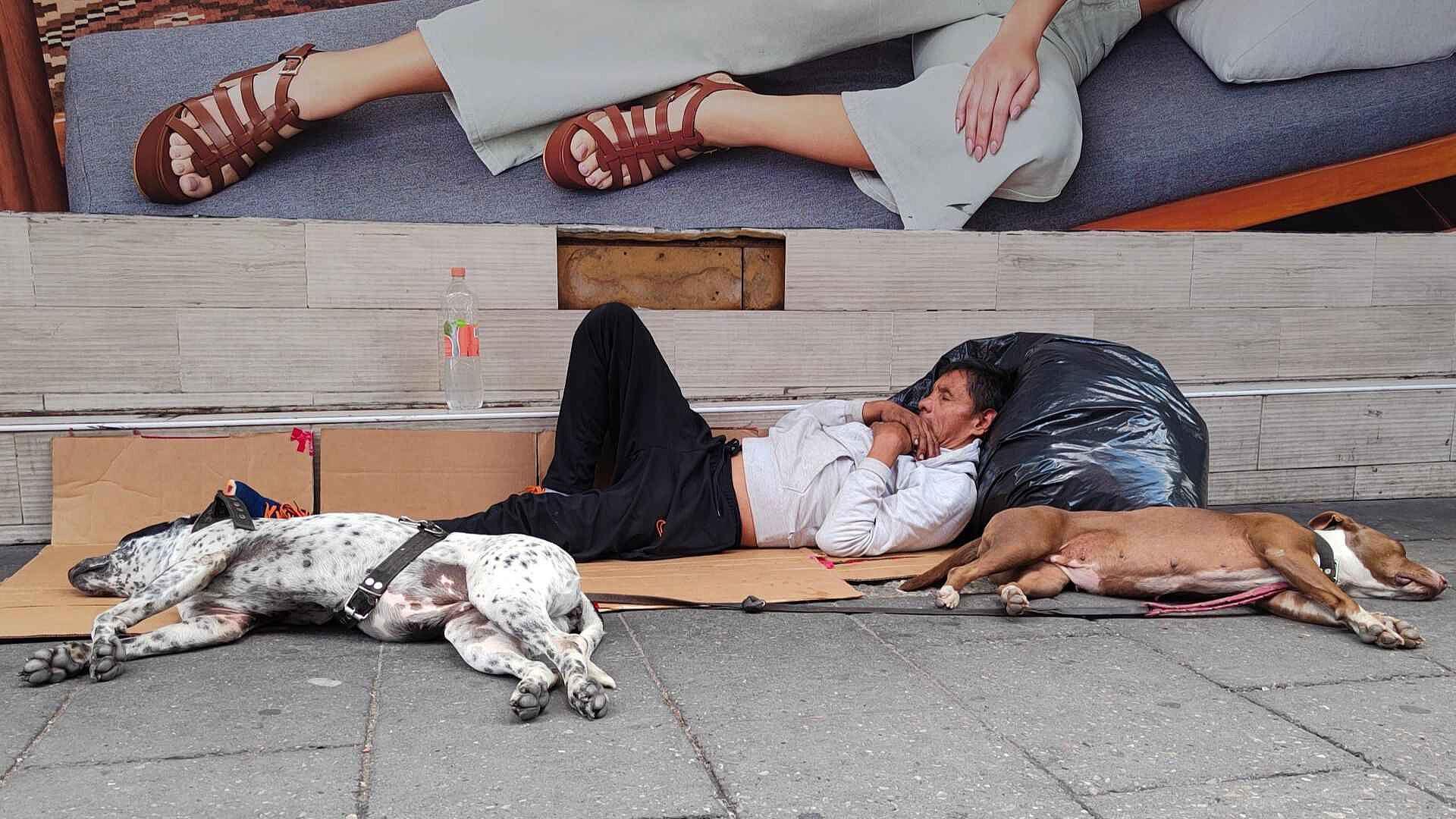 Crecen Casos de Mascotas Intoxicadas por Drogas en CDMX | N+