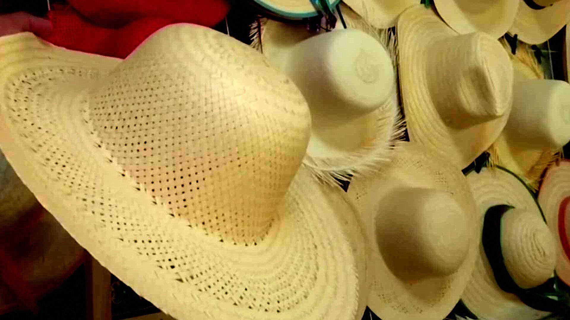 Así es la Elaboración de Sombreros de Jipi en Campeche | Expreso de la ...