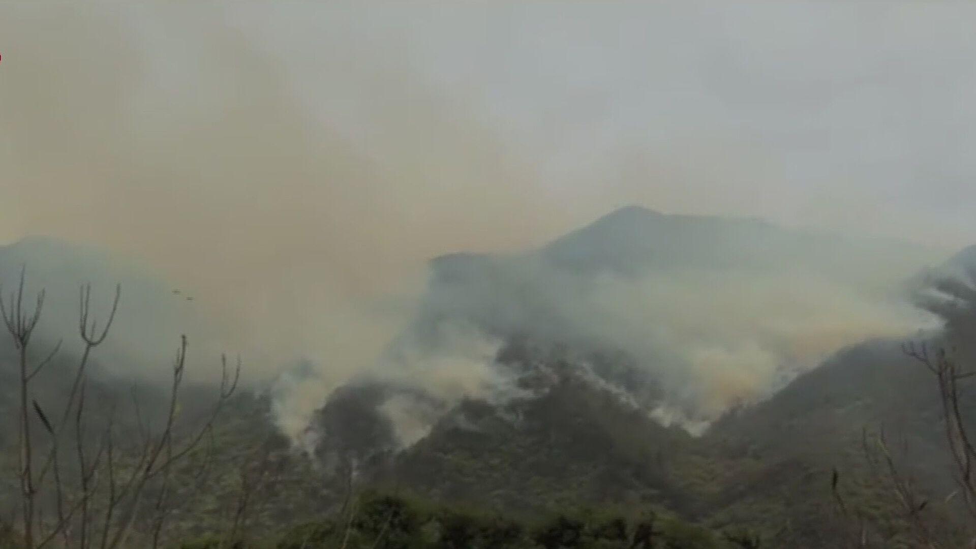 Incendio en Cumbres de Maltrata, Veracruz, Lunes 25 de Marzo 2024 ...