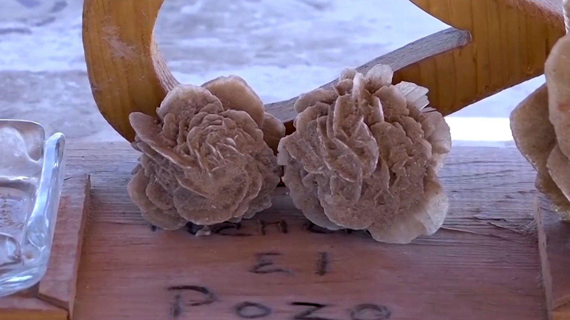 La Rosa del Desierto en Samalayuca en Chihuahua | N+