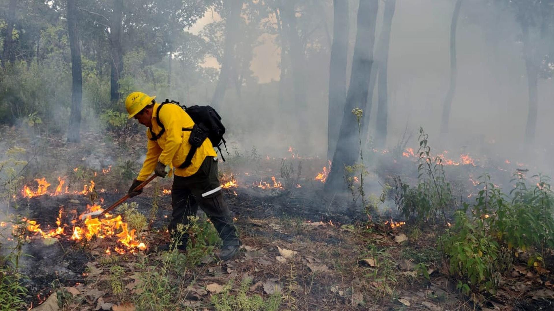 Brigadistas Combaten Incendios Forestales que en su Mayoría son ...