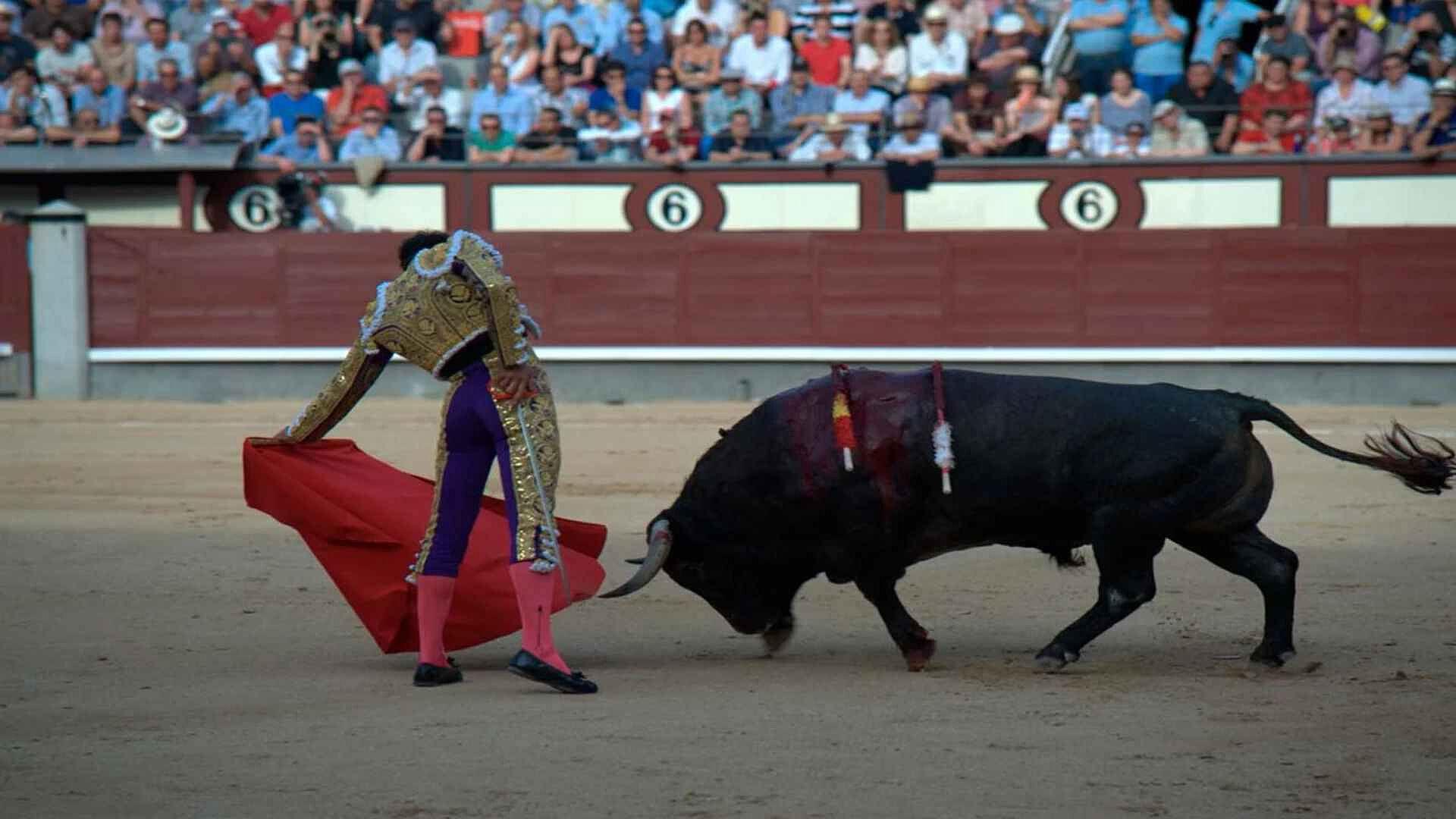 Premio Nacional de Tauromaquia no se Entregará este Año 2024 en España | N+