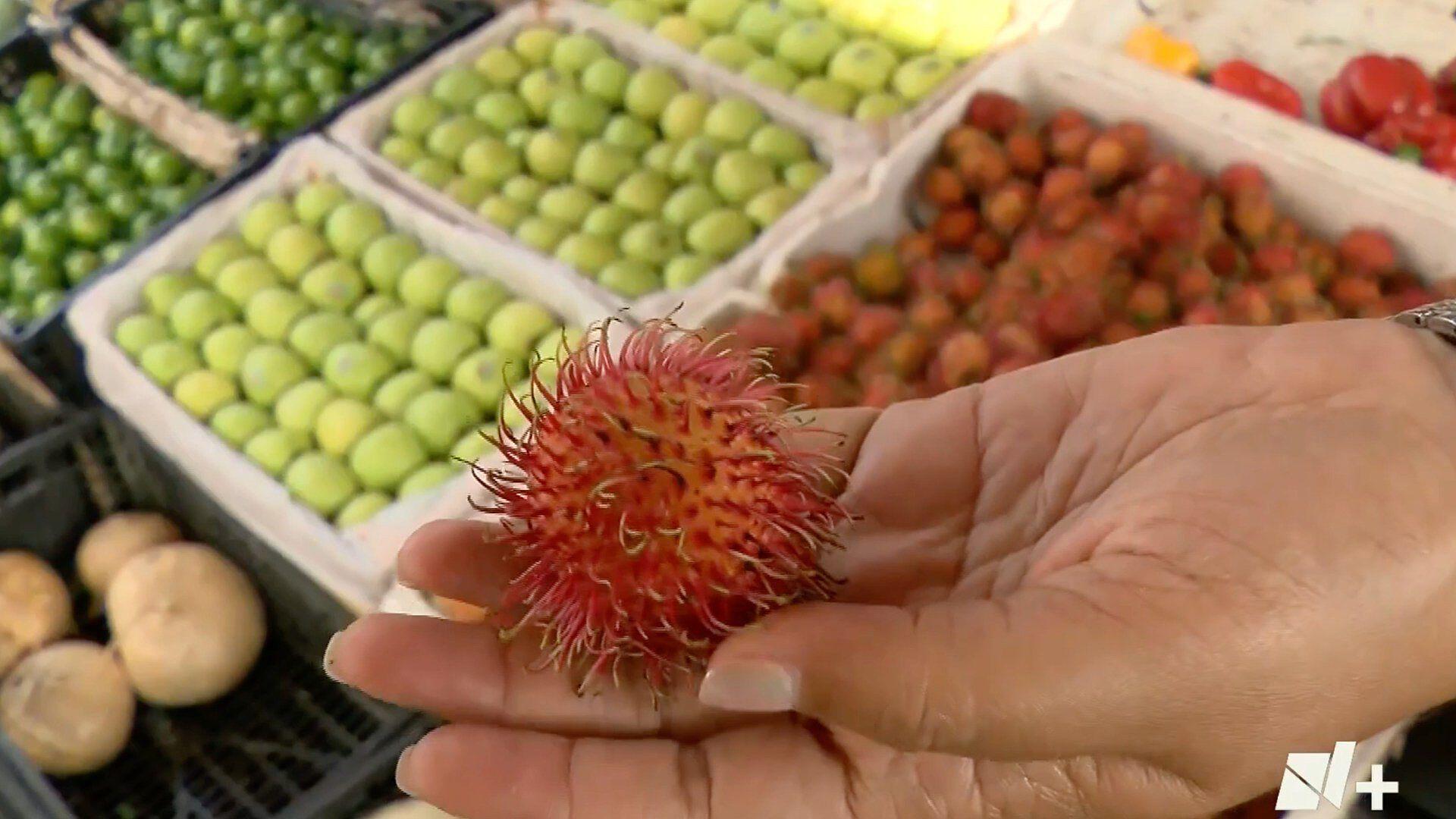 Comienza la Temporada de Rambután, Conoce sus Beneficios | N+