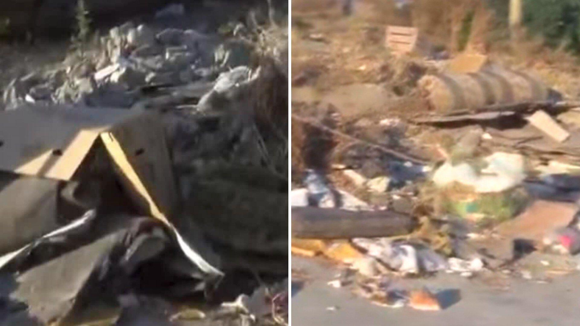 Entre Basura y Perros Callejeros se Encuentra la Colonia Altamira en ...