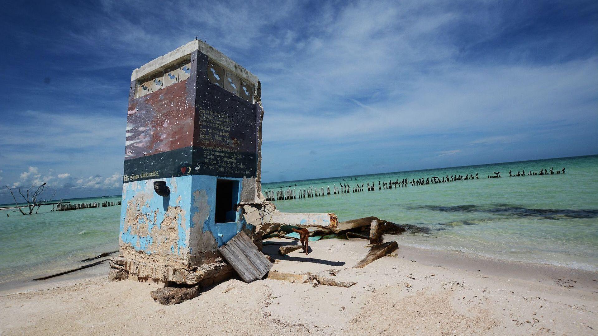 Huracán Beryl Hoy: Gobierno de Quintana Roo Habilita Salida Gratuita y ...