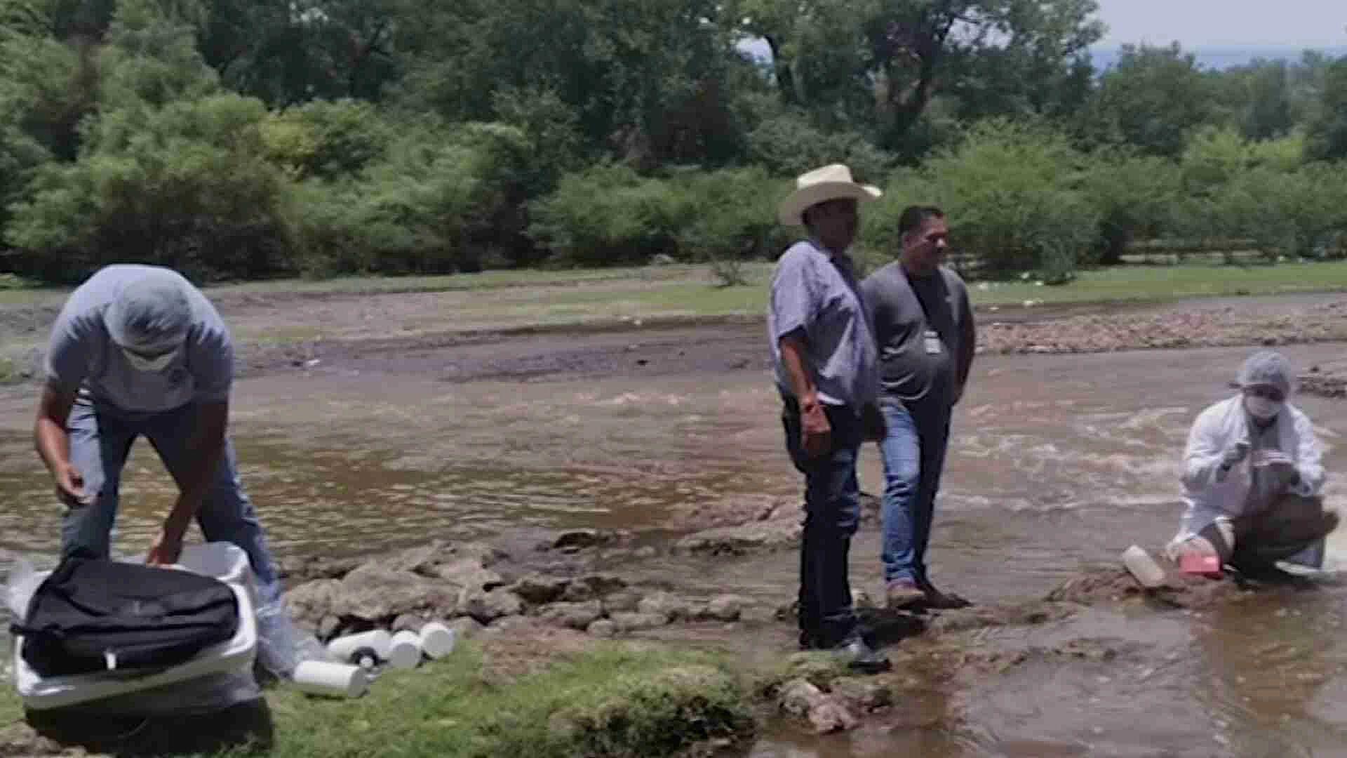 Investigan Muerte de Miles de Peces en Río Yaqui, al Sur de Sonora y en ...