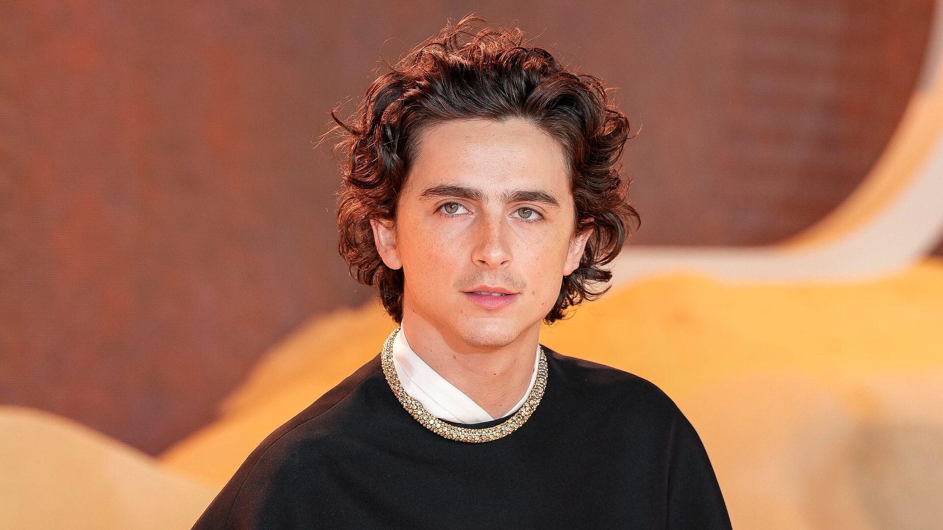 Timothée Chalamet, Listo para Protagonizar ‘Marty Supreme ...