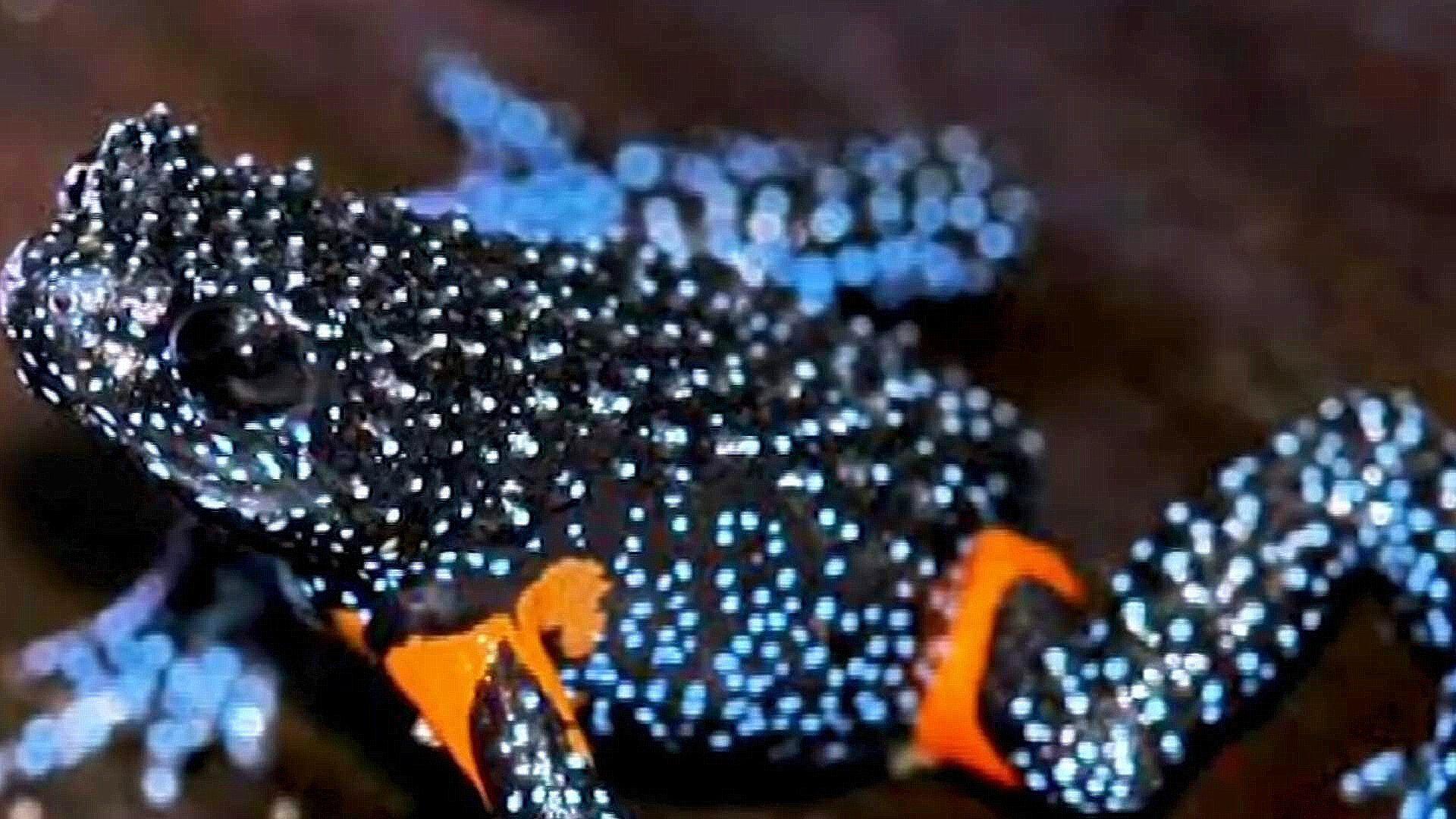 Logran Registrar a la Rana Galaxia, Una de las Más Hermosas del Planeta ...