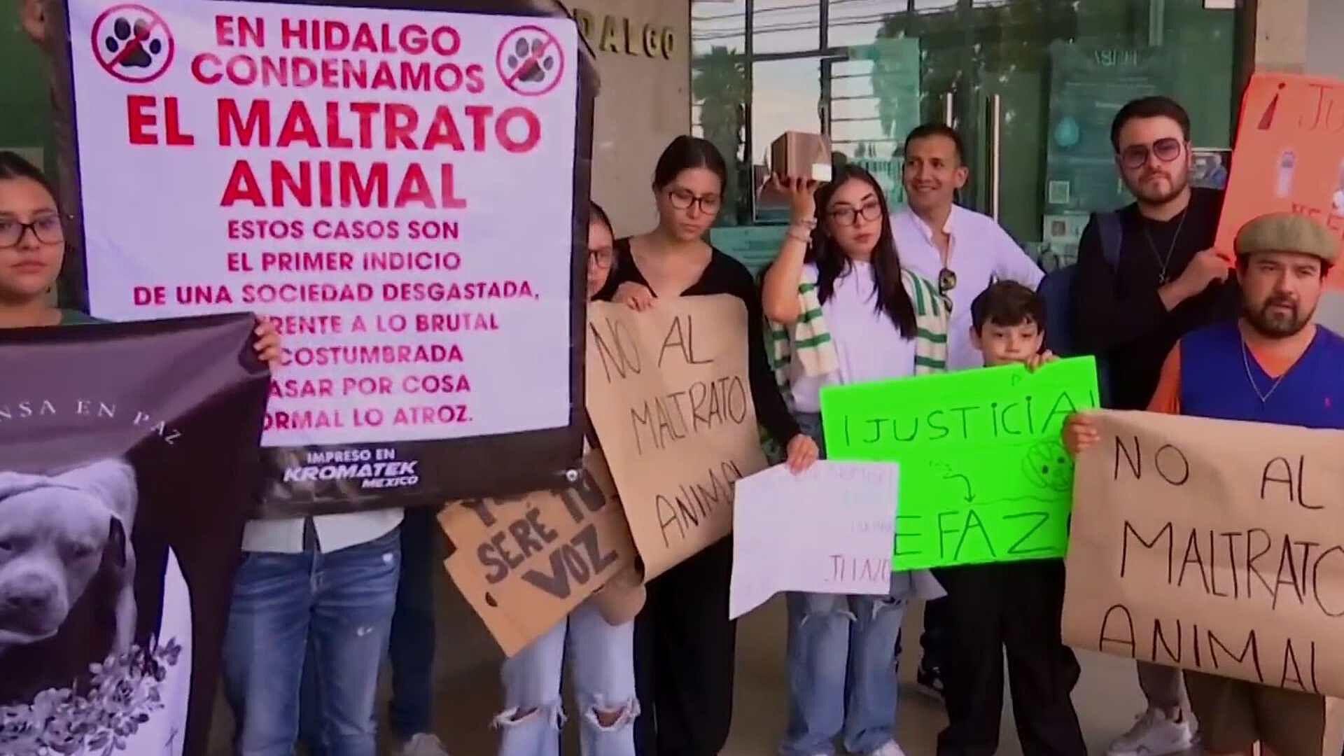 Realizan Audiencia Contra Christian ‘N’ por Asesinato del Perro ‘Jefazo ...