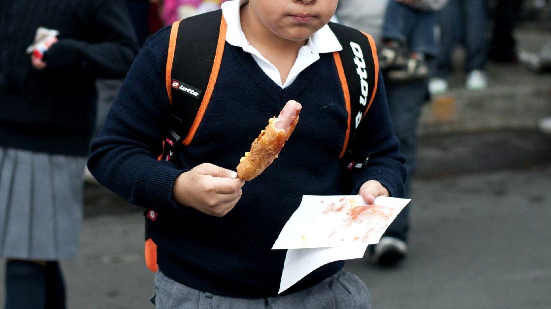 Obesidad Infantil: "¿Qué Traes de Lunch para el Recreo?"; Esto ...