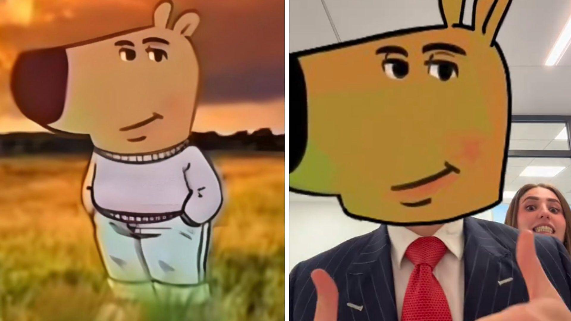 Chill Guy;¿Qué Significa y Dónde Surgió este Viral y 'Relajado' Meme? | N+