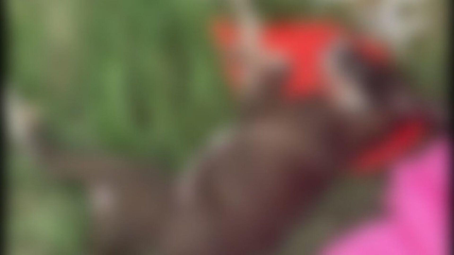 Mata a Perro a Patadas en Col. Girasoles en Escobedo Vinculan a Hombre | N+