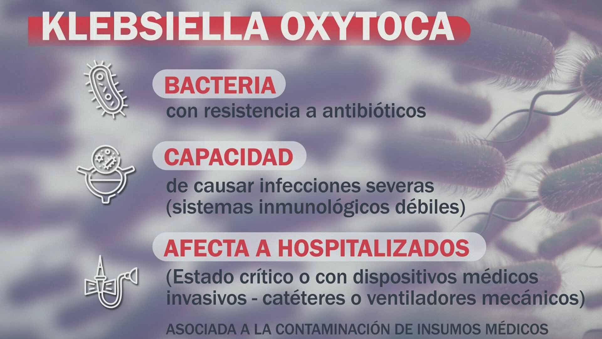 ¿Qué es Klebsiella Oxytoca? Síntomas y Riesgos de la Bacteria | N+