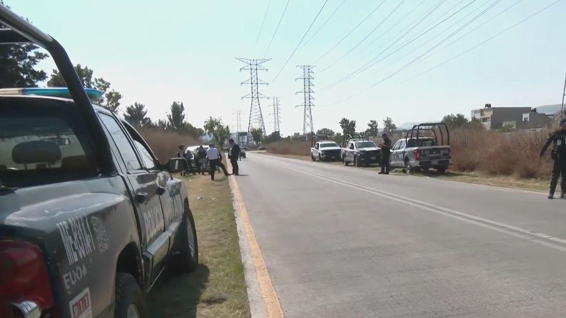 Hallan Cráneo en Terreno Baldío de Ecatepec, Edomex; Un Perro Jugaba ...
