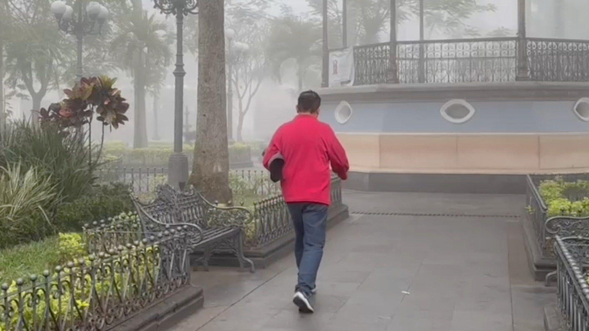 ¿Cuáles son los Síntomas de la Influenza y Quiénes son los Más ...