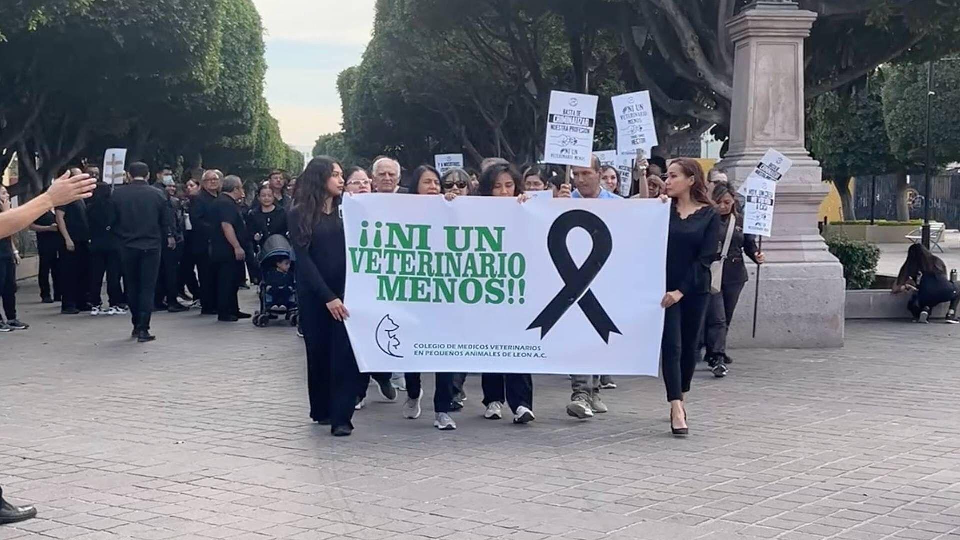 Marchan Veterinarios de León Para Exigir Alto a la Violencia | N+