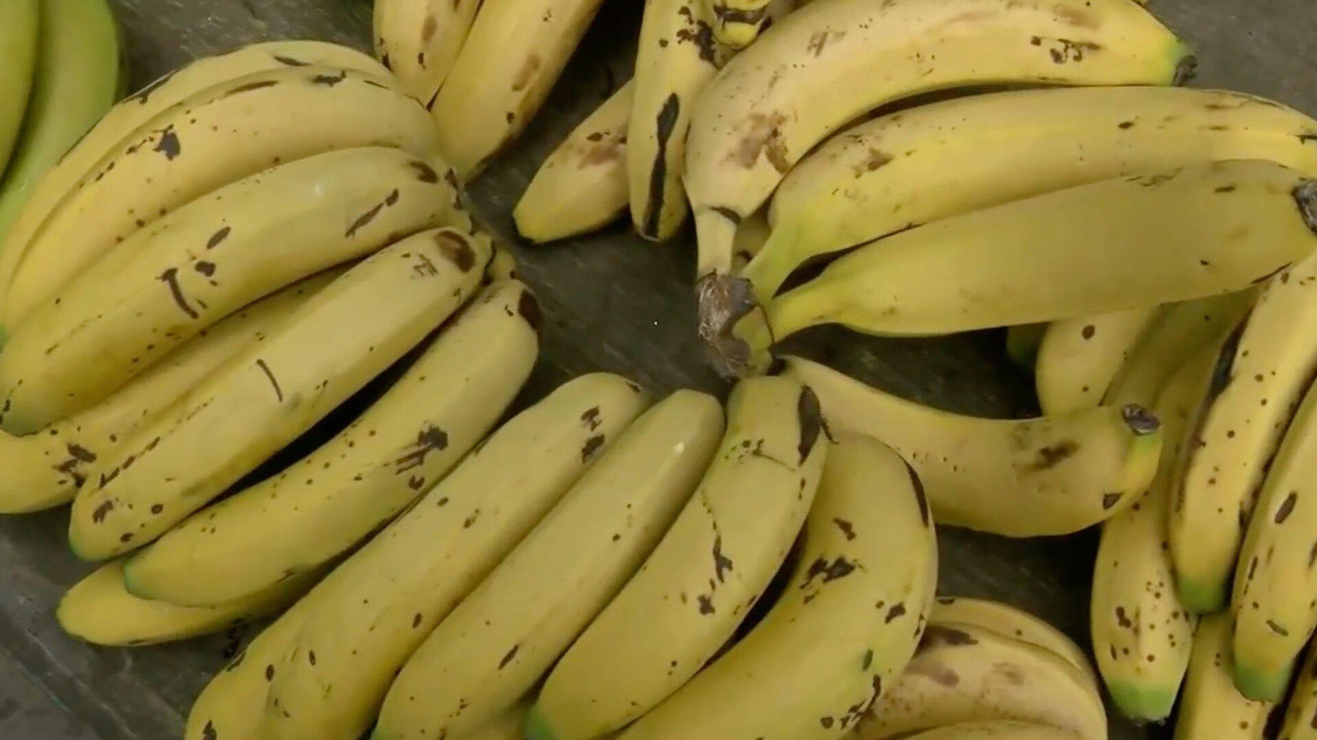 Precio del Plátano Macho y Roatán en los Mercados de Veracruz | N+