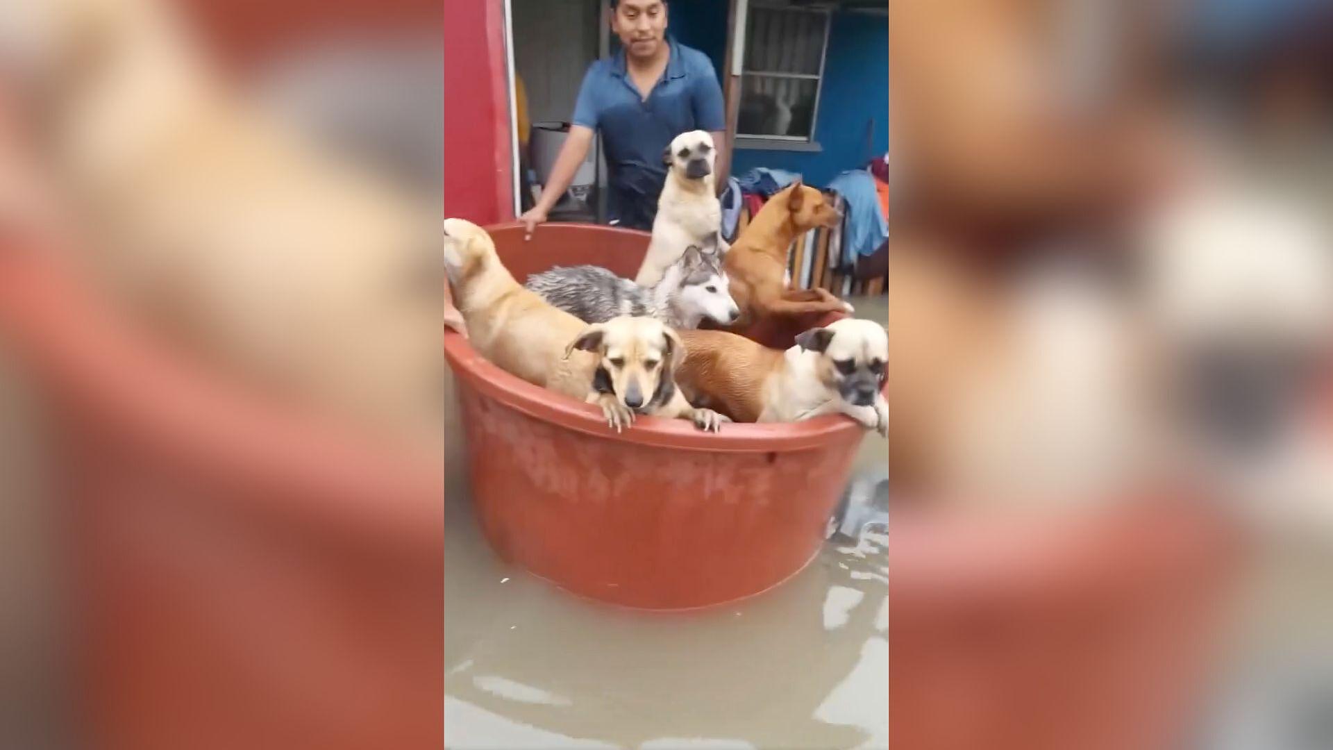 Inundaciones en Reynosa, Tamaulipas: Así Está Bajo El Agua por Fuertes ...