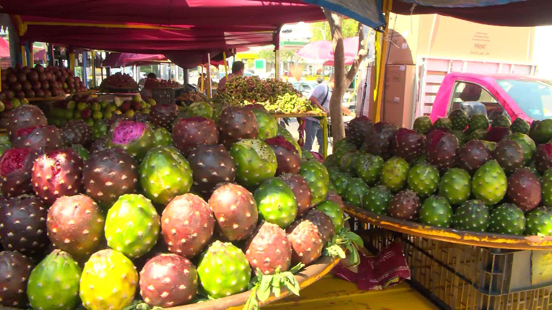 Feria de la Pitaya 2025 en Jalisco: ¿Cuándo y Dónde Será? | N+