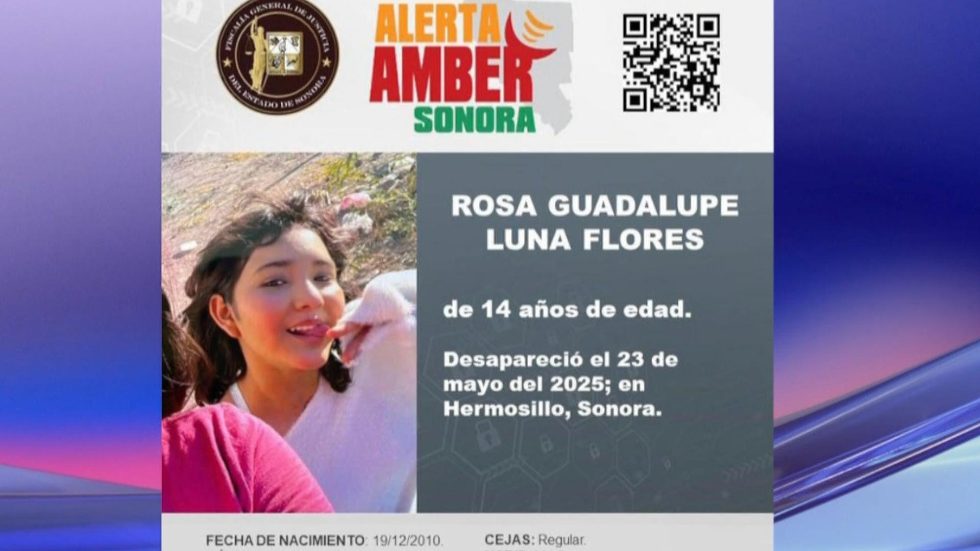 Activan Alerta Amber por la Menor Rosa Guadalupe Luna, Desaparecida en ...