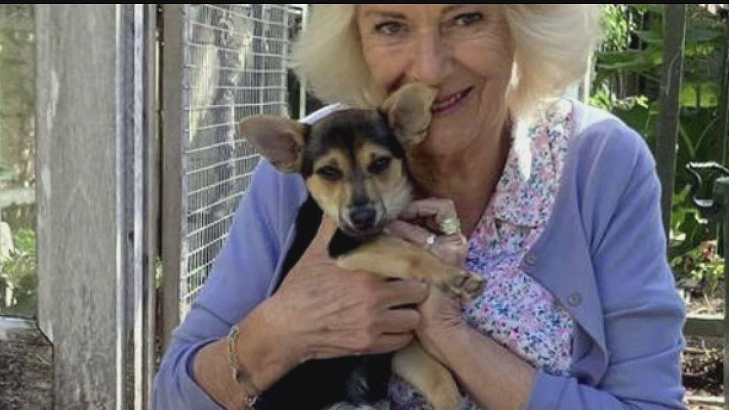 Perros de la Realeza: Esos son los Famosos y Millonarios Lomitos | N+