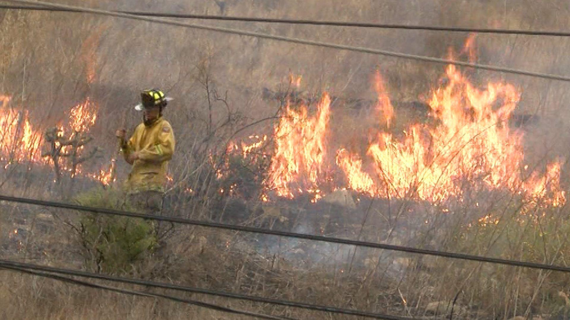 Llaman a Prevenir Incendios Forestales en Baja California en Esta ...