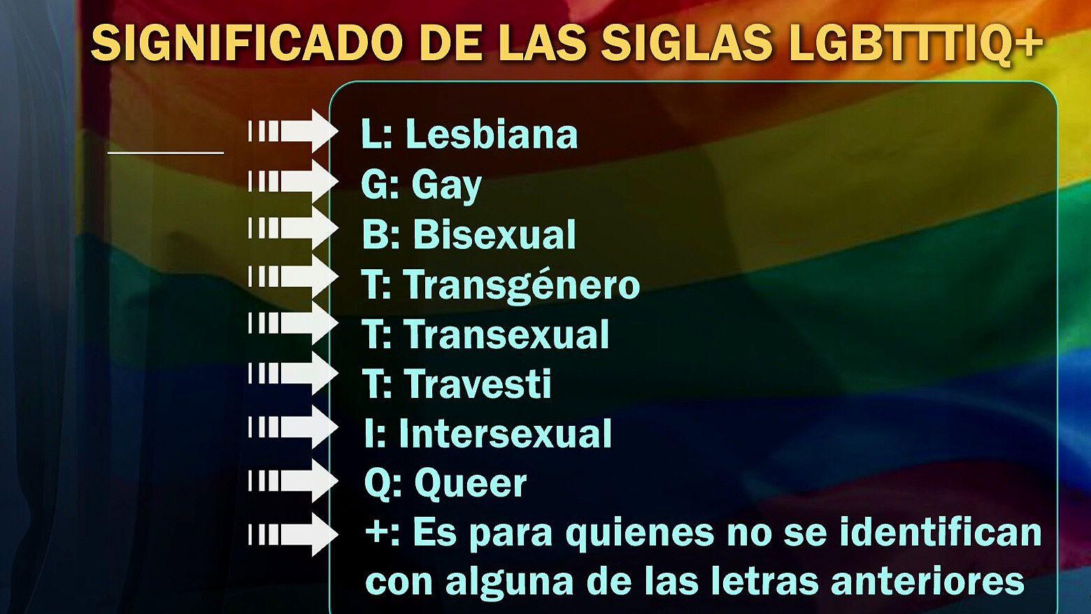 Mes del Orgullo: ¿Qué Significan las Siglas LGBTTTIQ+? | N+