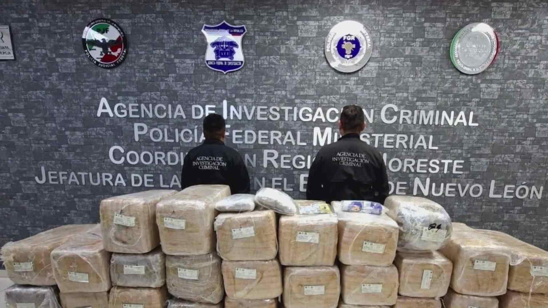 Asegura FGR Más de 350 Kilos de Marihuana en Cateo en Apodaca | N+