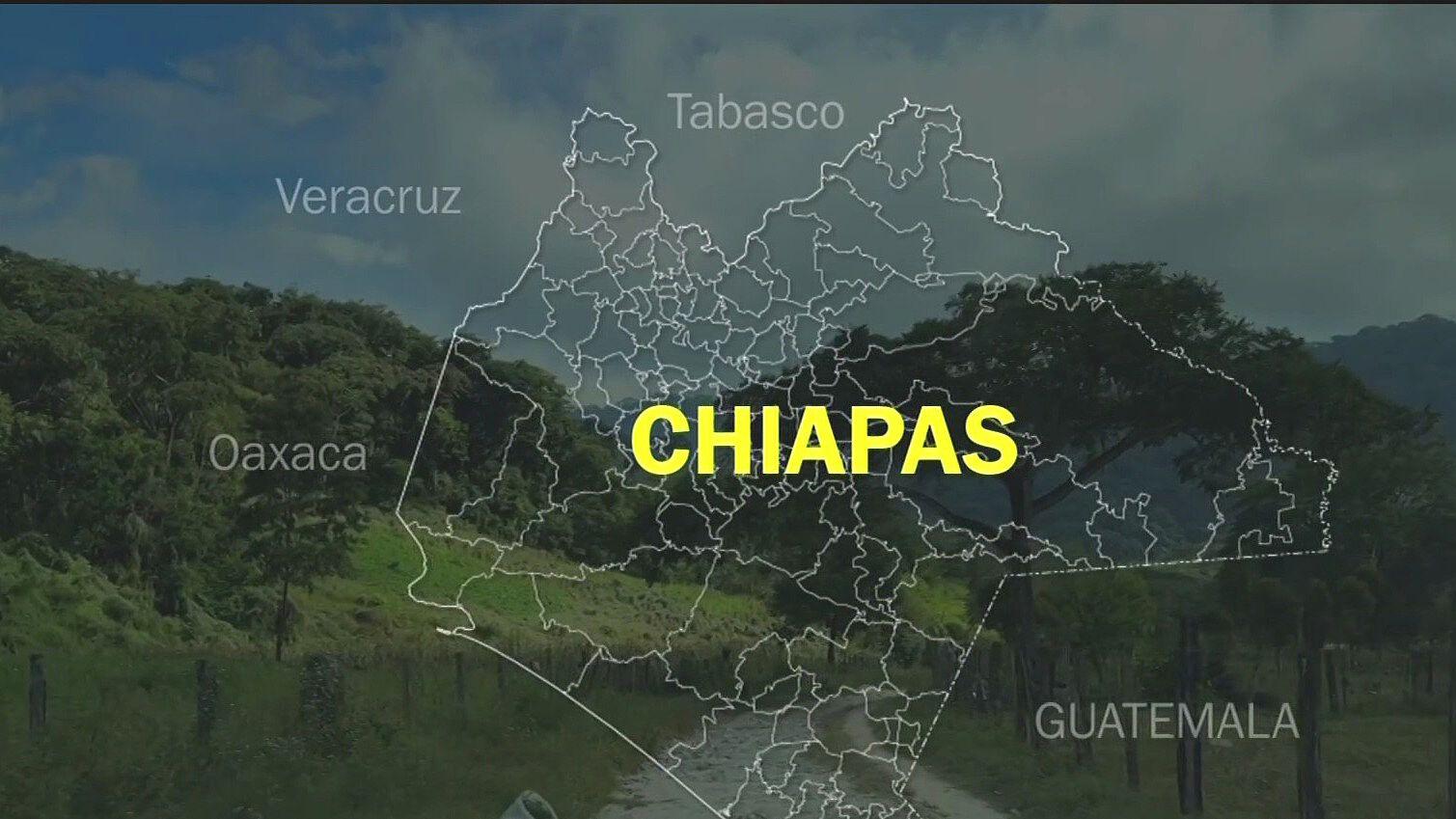 El Infierno del Gusano Barrenador: En Chiapas, la Zona Cero, Larvas ...