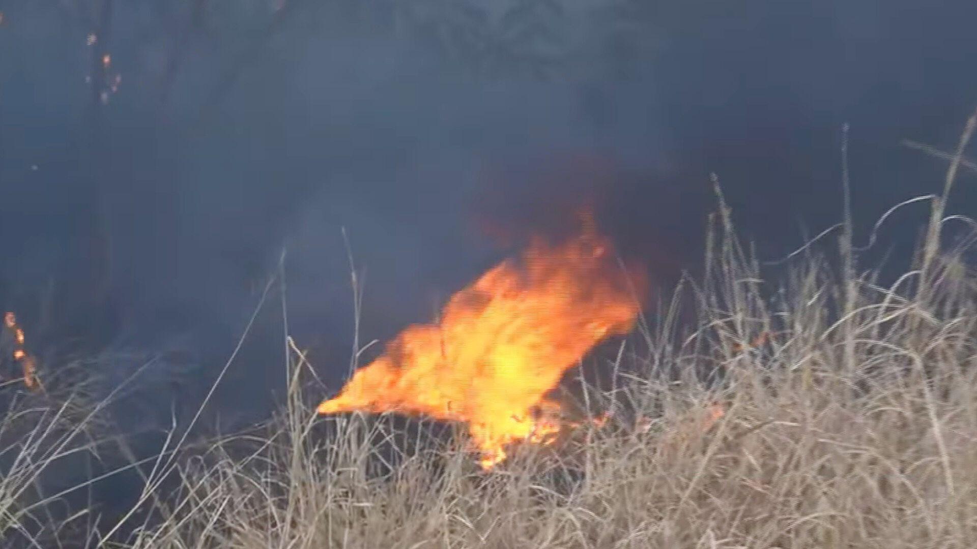 Moviliza Incendio en Lecho del Río Santa Catarina en Monterrey | N+