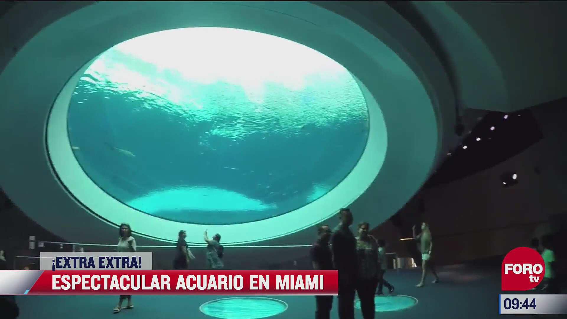 ¡Extra, extra! Conoce el espectacular acuario de Miami