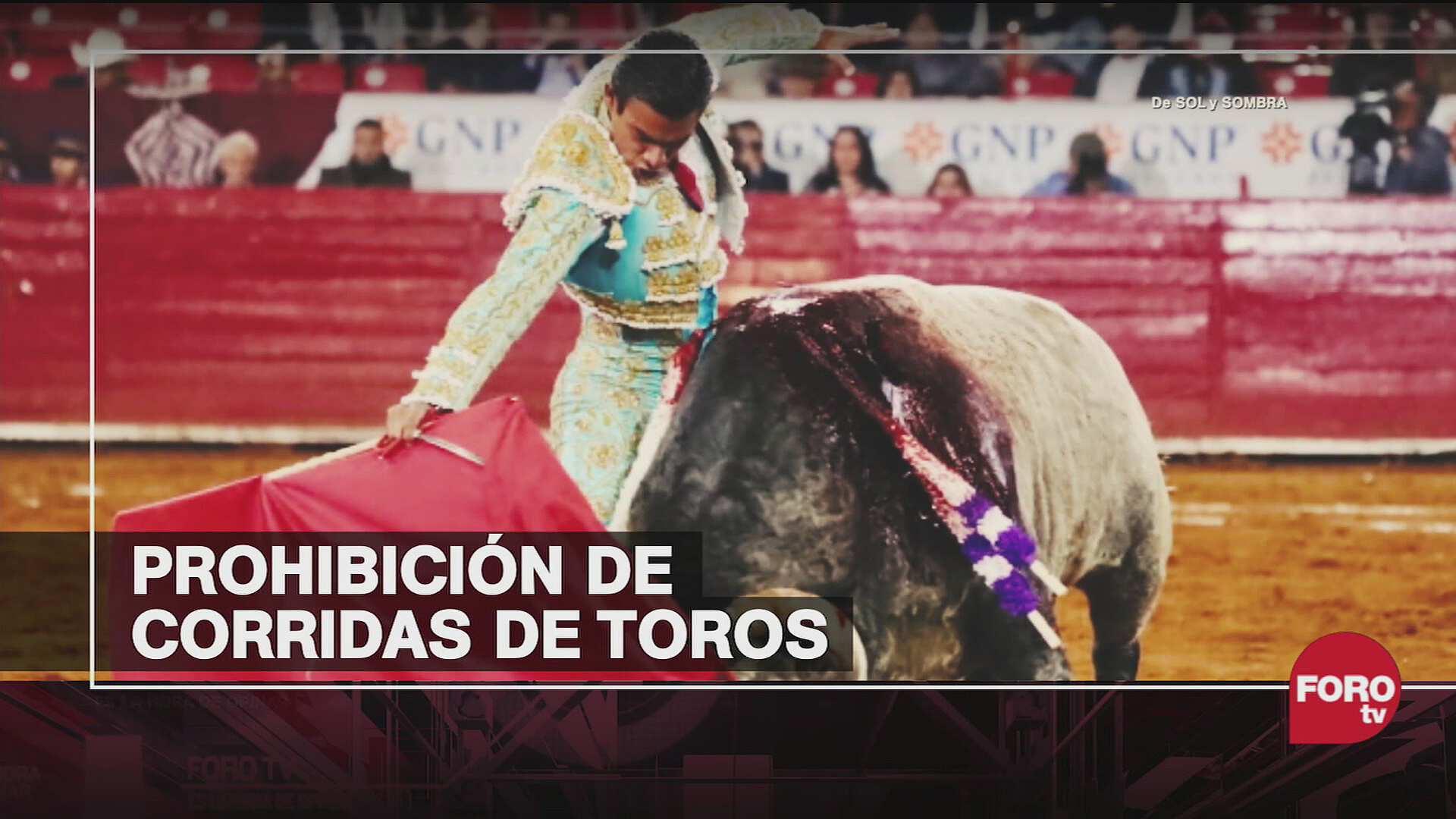 ¿Se deben prohibir las corridas de toros en México?