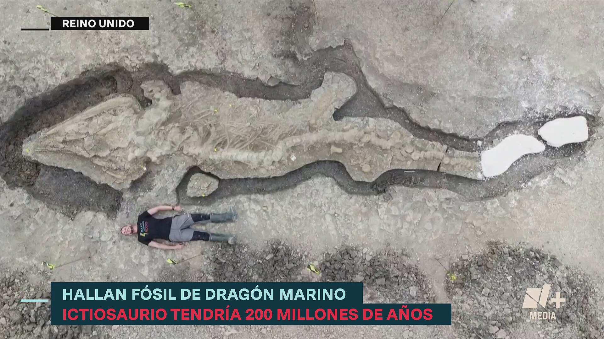 Encuentran fósil de dinosaurio conocido como “dragón marino” en Reino Unido