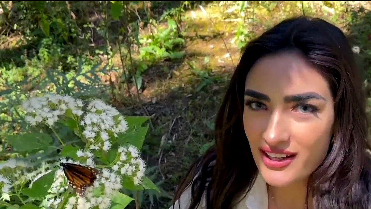 El increíble viaje de la mariposa Monarca a los bosques de Michoacán | N+