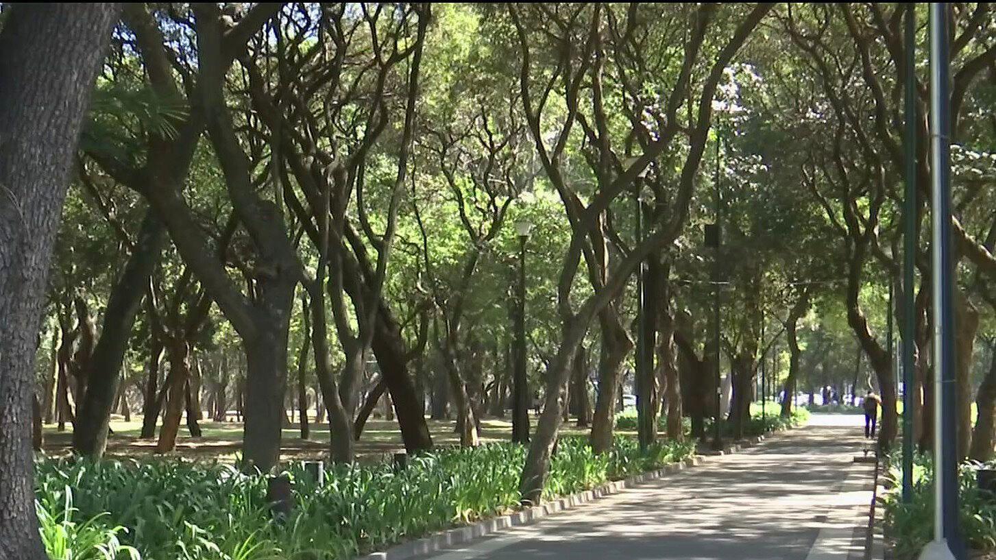 Acceso a un medio ambiente limpio y sano ya es un derecho humano universal