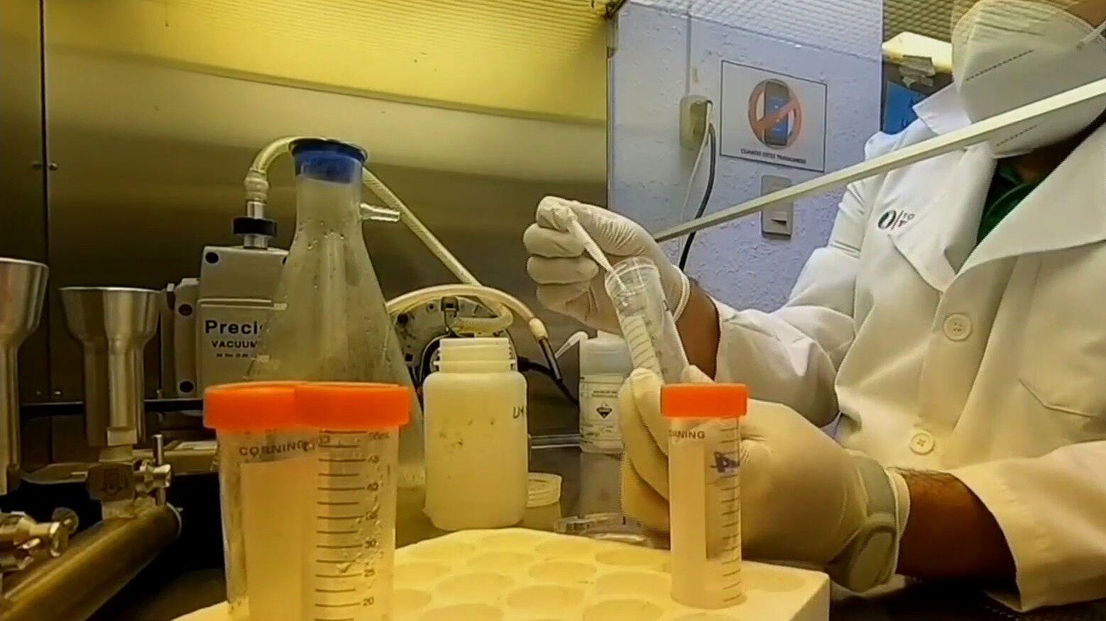 Advierten peligros de la amiba libre de agua dulce en lagos y albercas