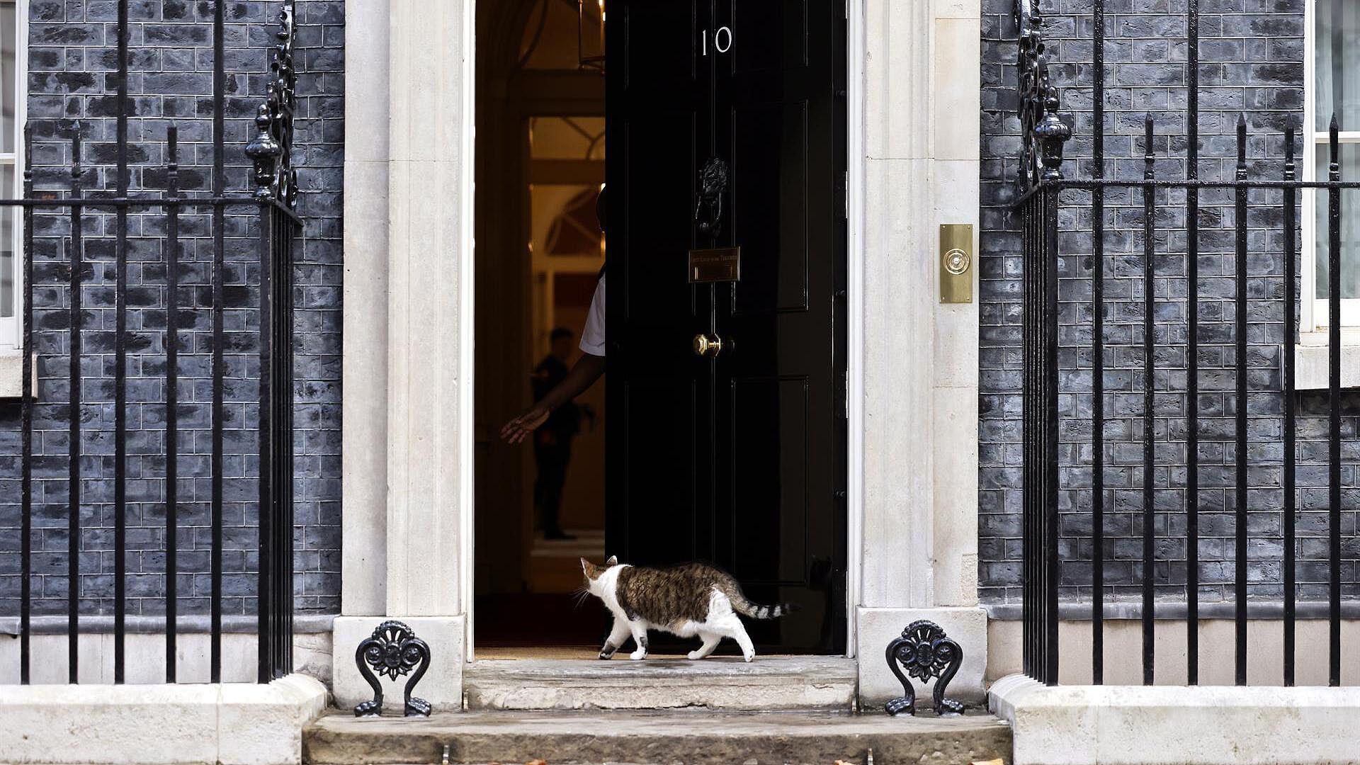 ¿Quién es Larry, el gato más famoso de Londres?