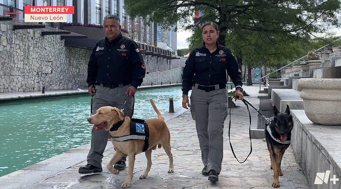 Conoce a los perros héroes de Nuevo León | N+